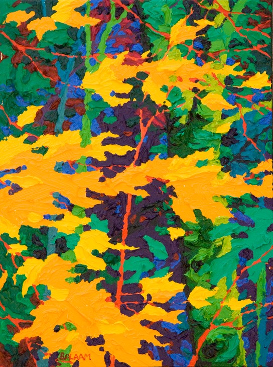Gem - Leaf Lightening I - 12" x 9" | Artist Frank Balaam